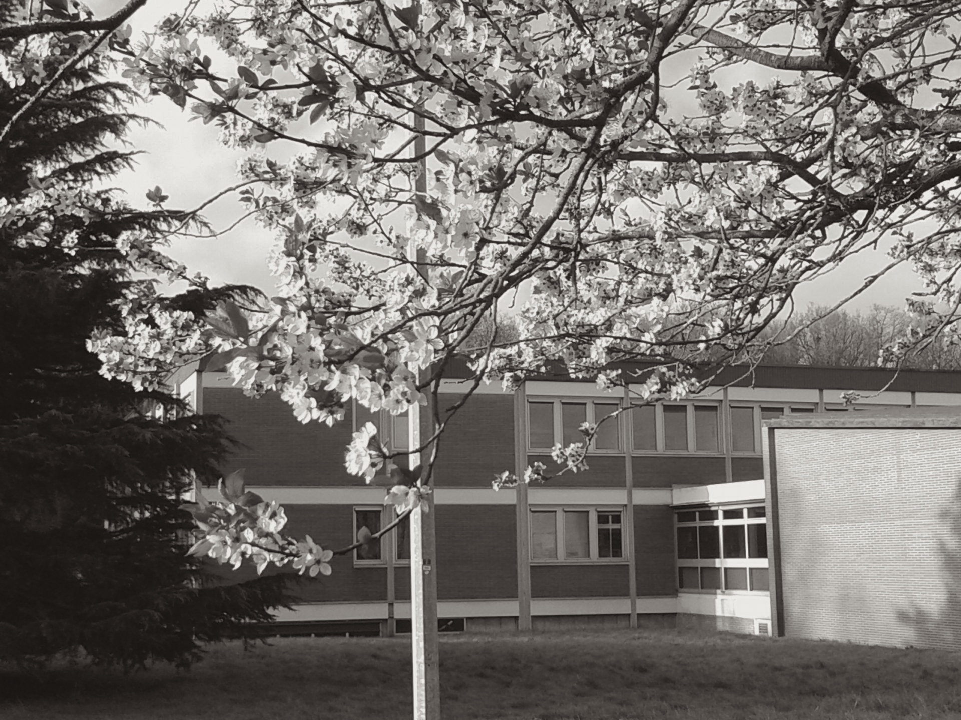 History of IPhT - IPhT